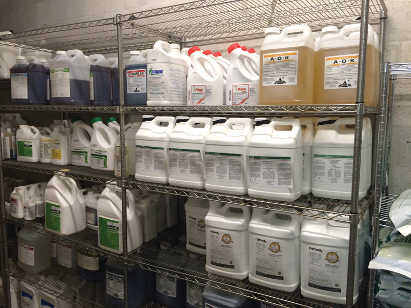 Safe Houses - Club + Resort Business