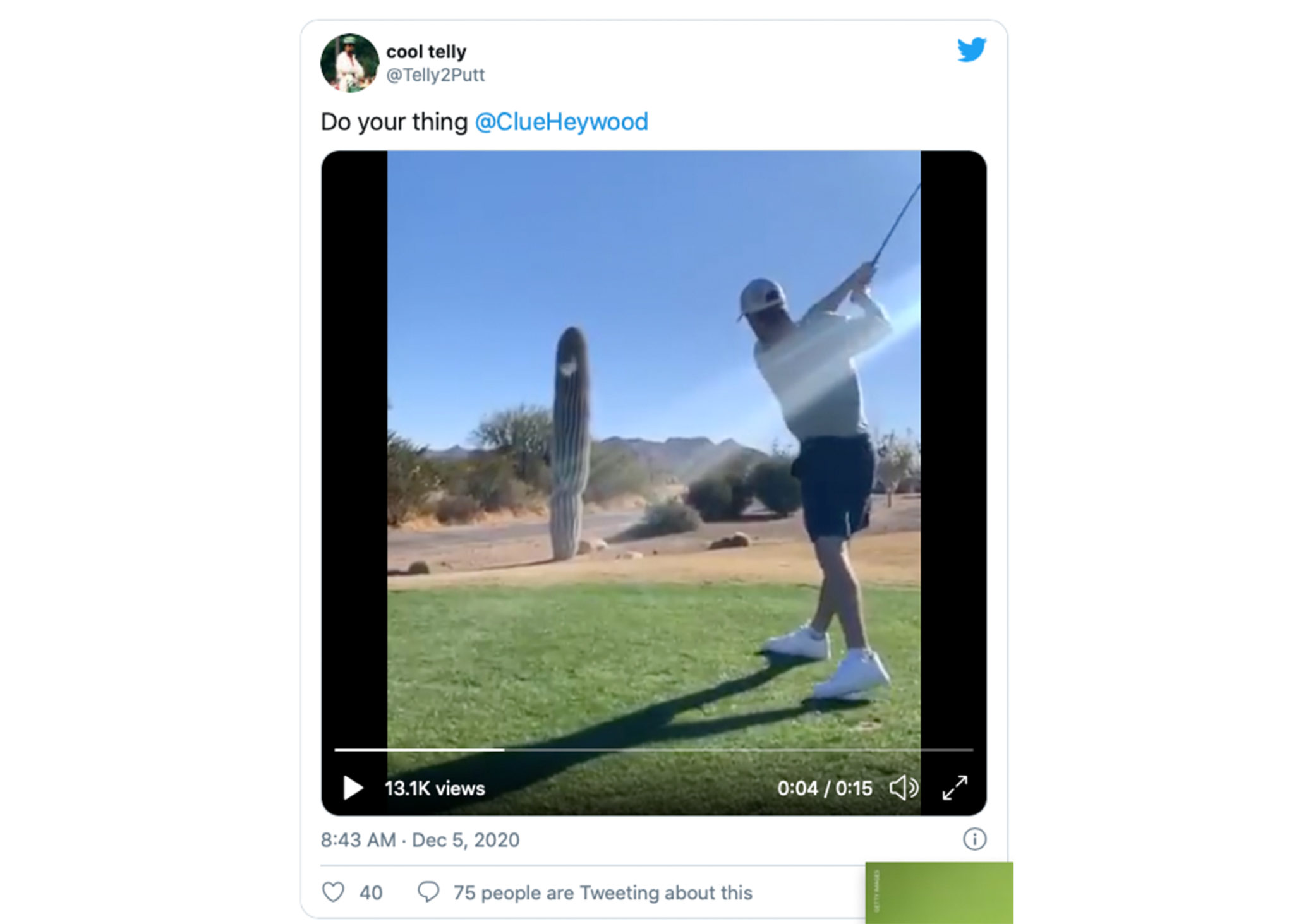Video of Golfer Hitting Ball into Protected Cactus Draws Ire - Club ...
