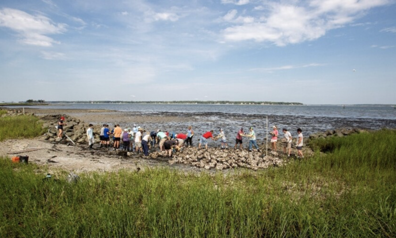 The Sea Pines Resort Creates Man-Made Oyster Reef - Club + Resort Business