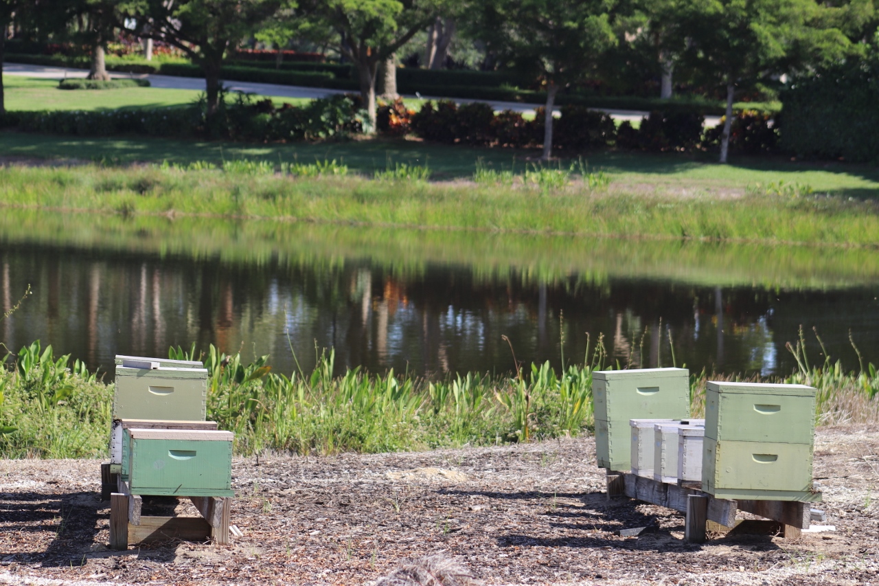 ‘Birds and Bees’—The Club at Mediterra’s Commitment to the Environment ...